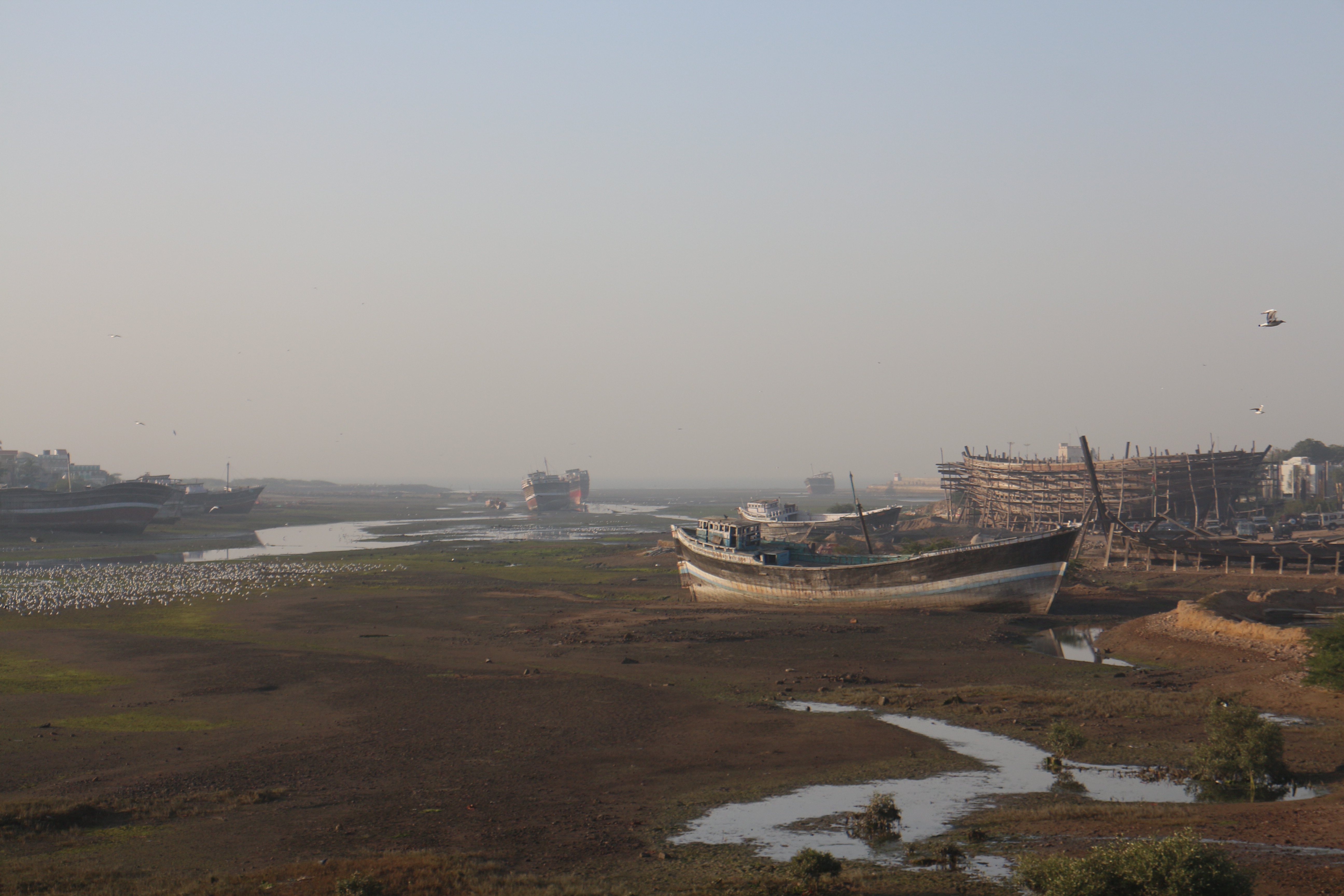 The Pristine Beach of Mandvi – The Itinerant Analyst