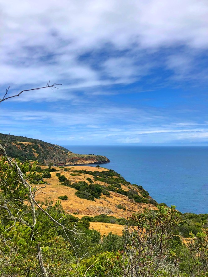 All you need to know about Channel Island – The Itinerant Analyst
